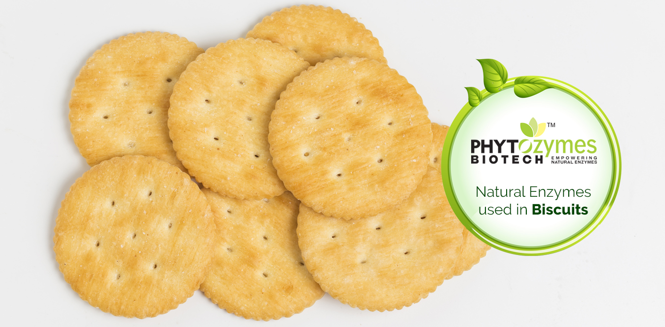 Phytozymes Biotech , papaya products, Phytopap, Phytopap@LP, Phytopap ...